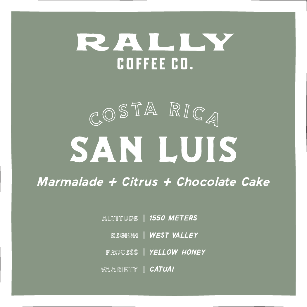 Rally Coffee Co's Costa Rica —San Luis – Rally Coffee Co.
